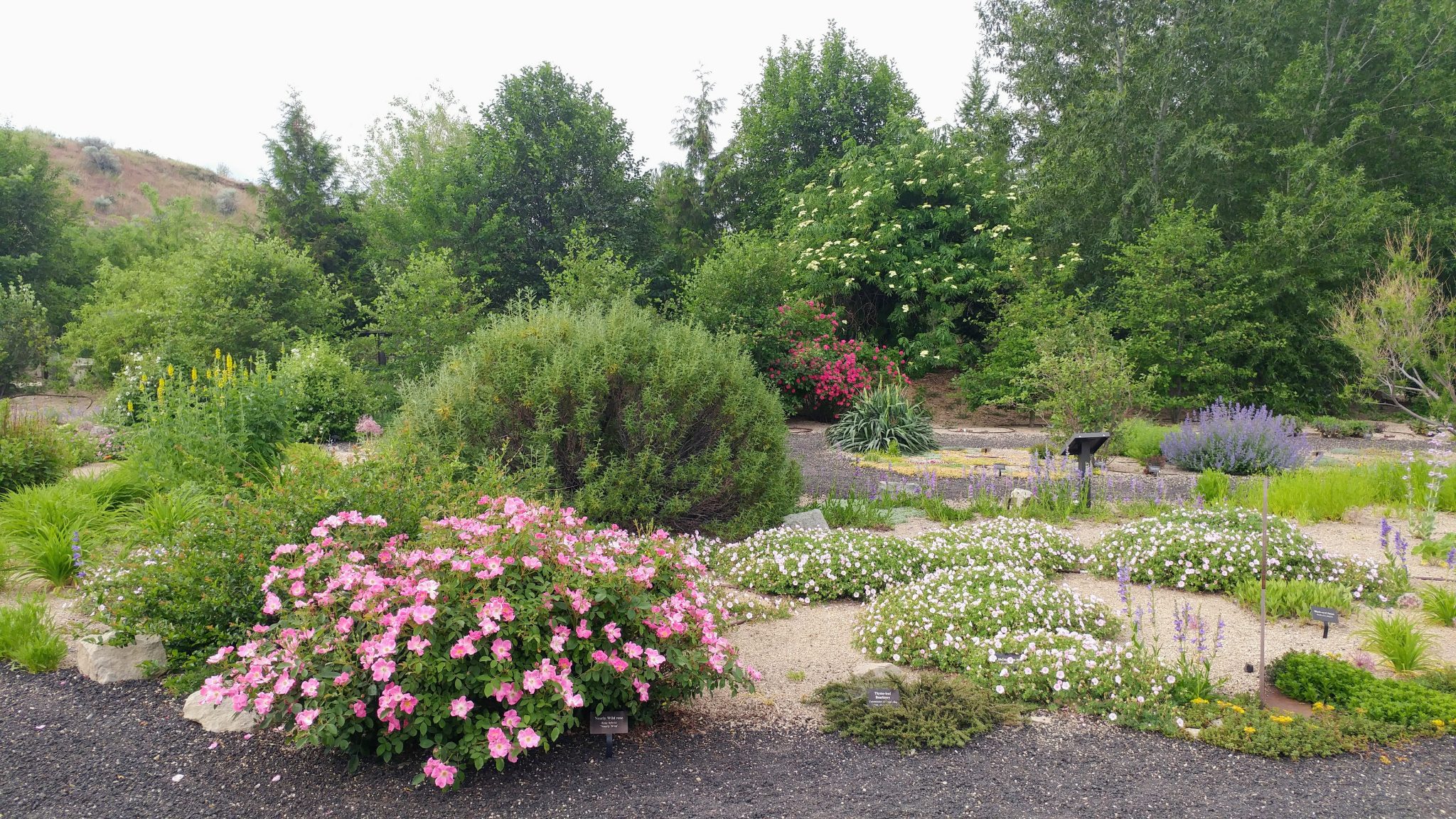 Idaho Firewise Garden Tours Now Being Offered for Small Groups - Idaho ...