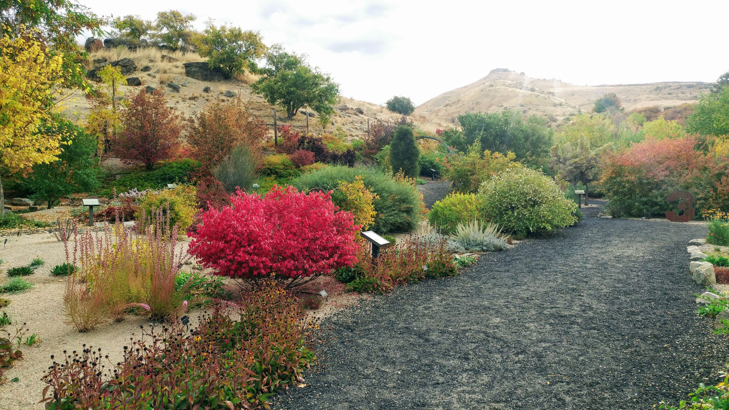 Home - Idaho Firewise