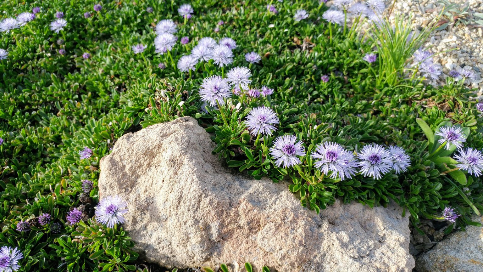 Home - Idaho Firewise